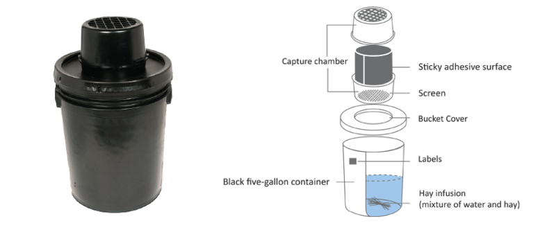 Monitoring & Surveillance – Unidad Control de Vectores de Puerto Rico
