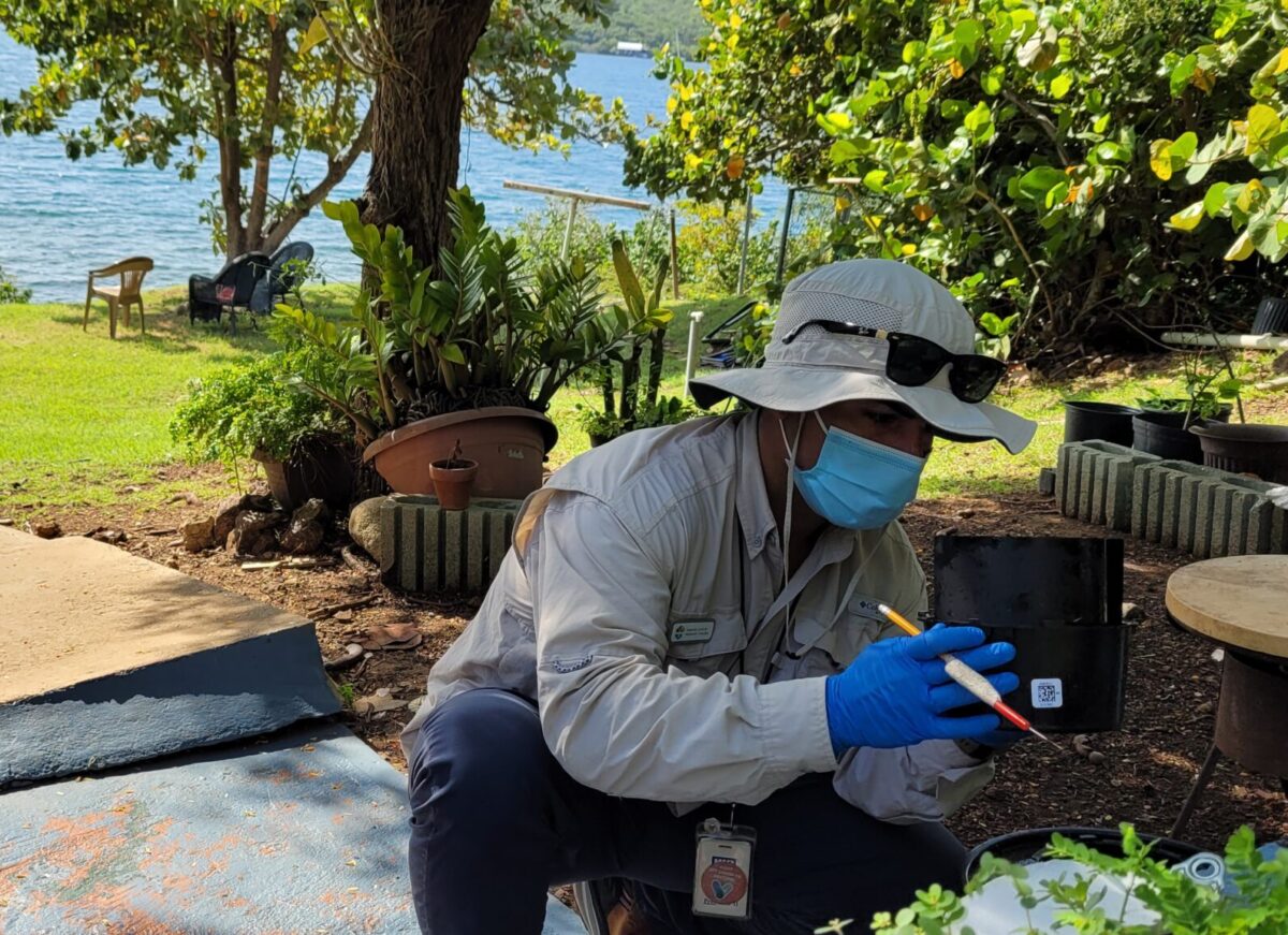 Successful Global Grant Project – Dengue Fever Mosquito Control on the ...